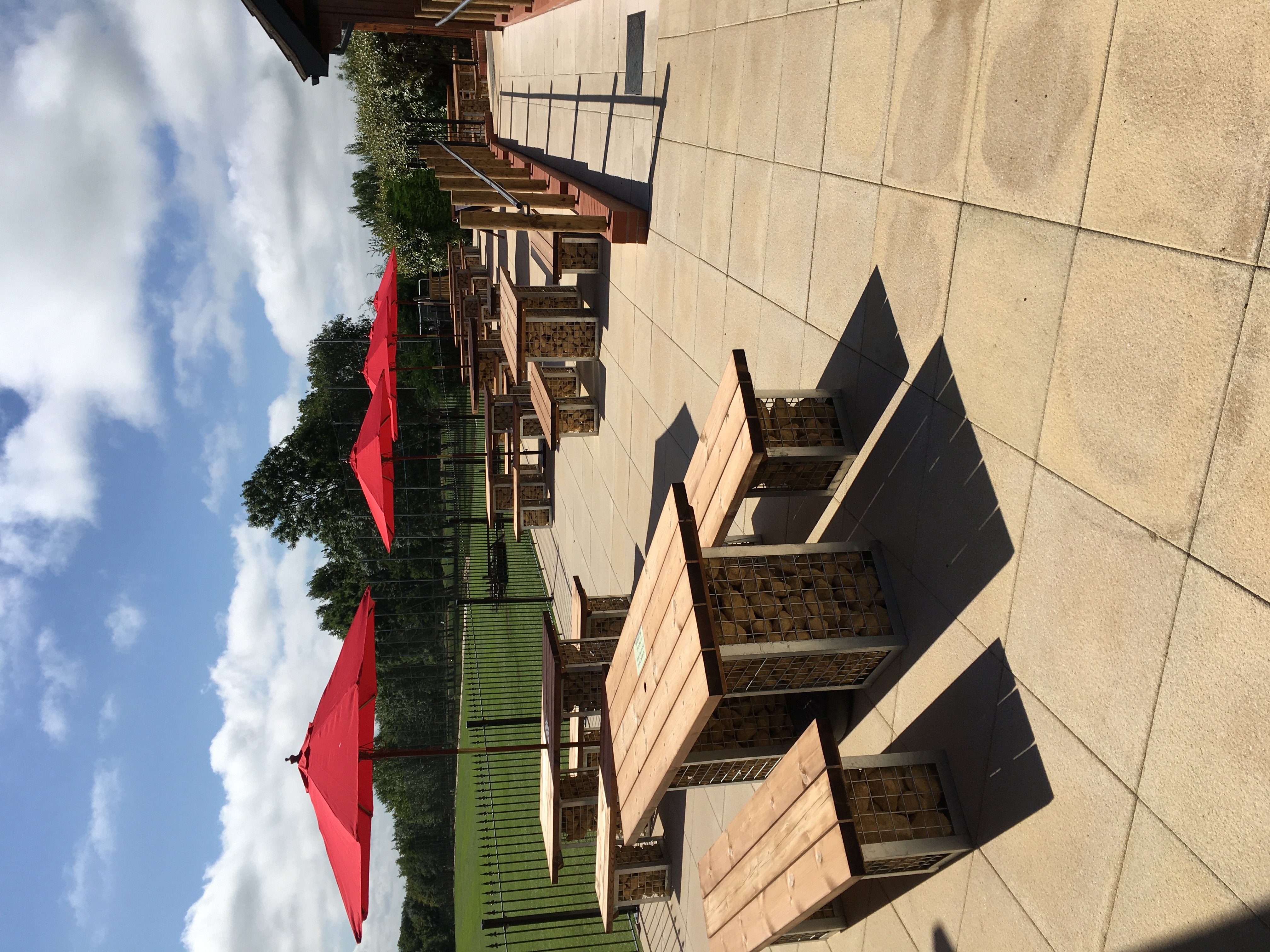 Congo Falls Adventure Golf